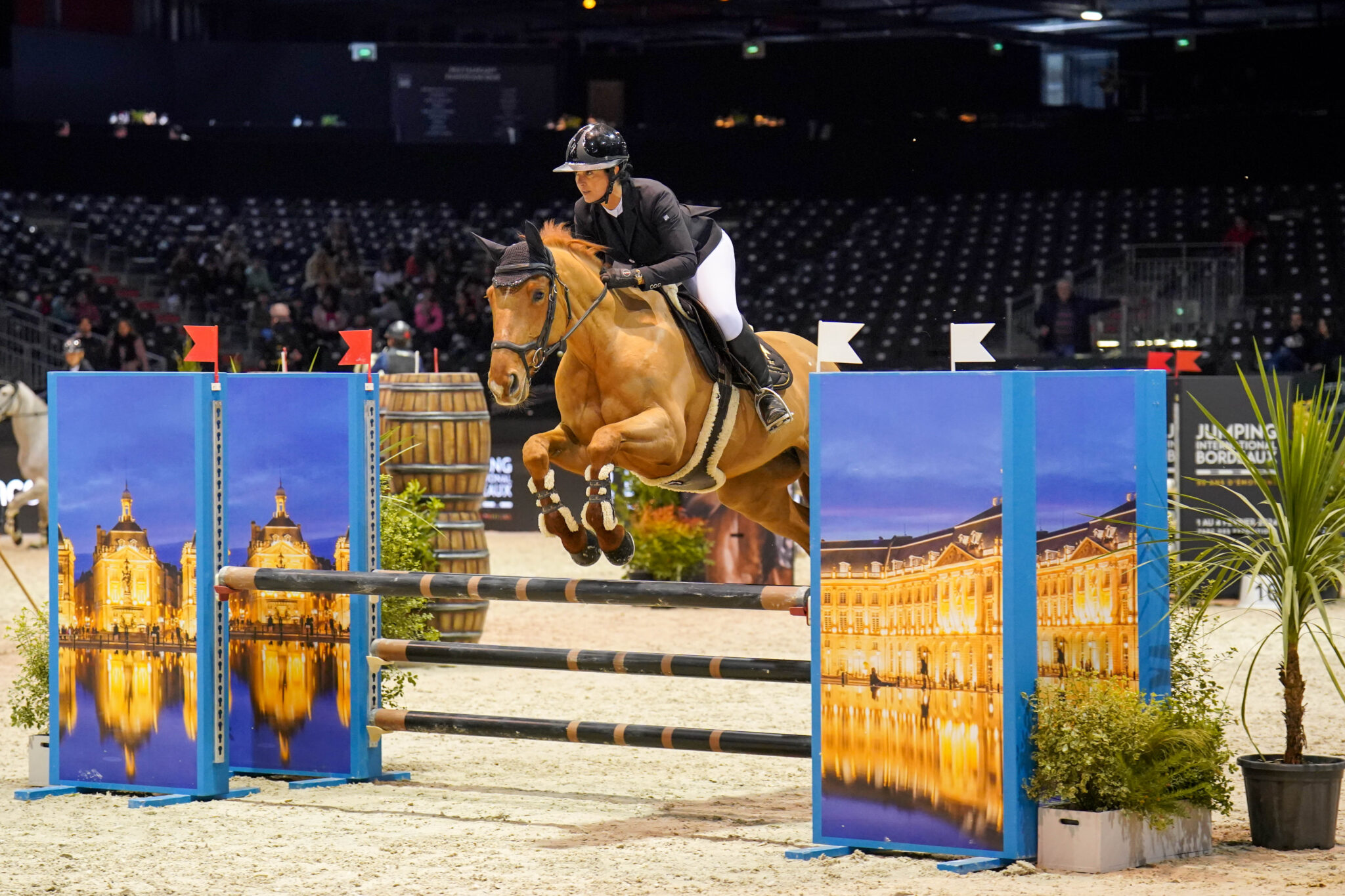 Jumping International de Bordeaux : l’élite mondiale de l’équitation
