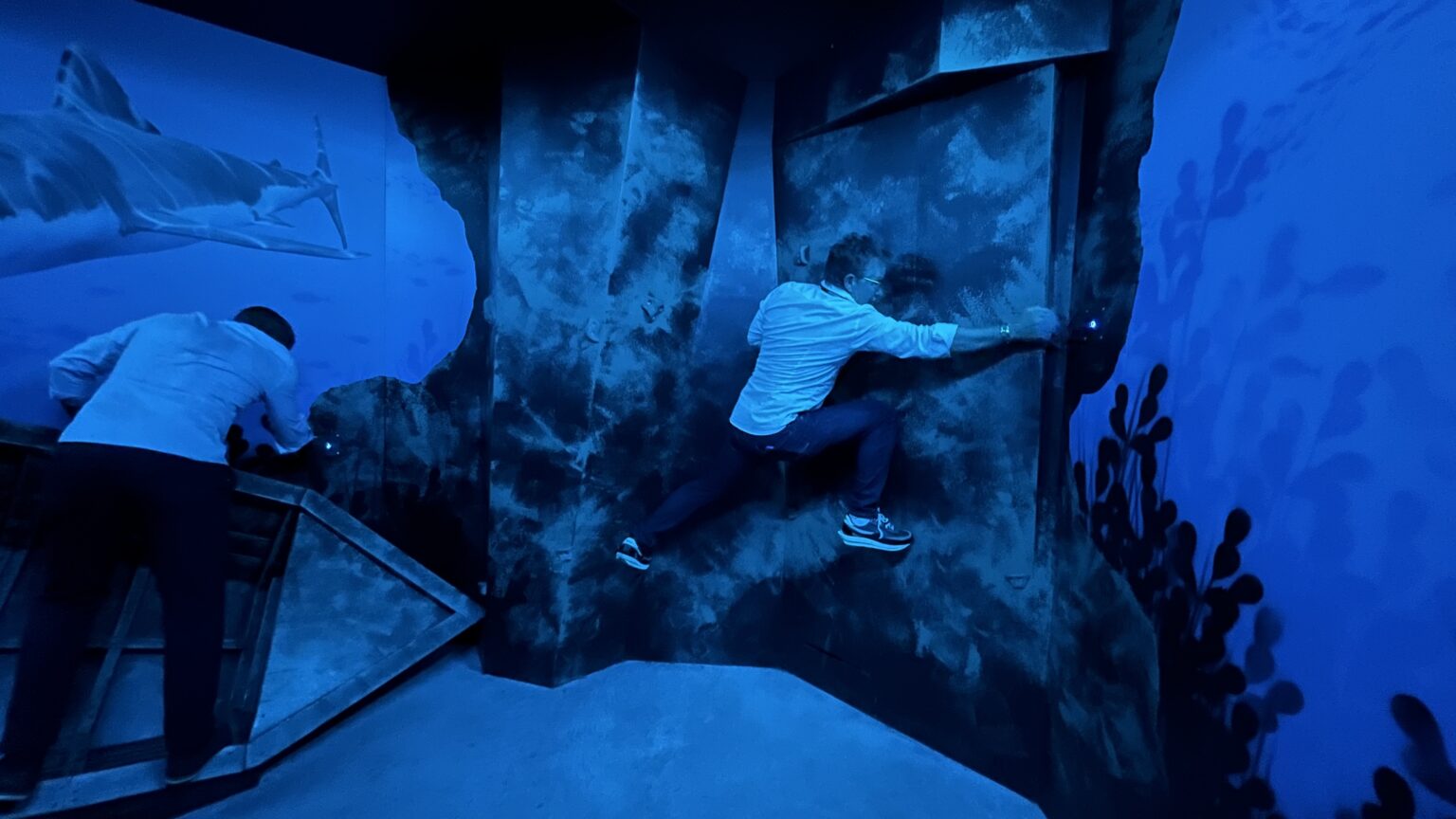 Ivazio Island : le temple des activités indoor à Bordeaux fête ses 1 an