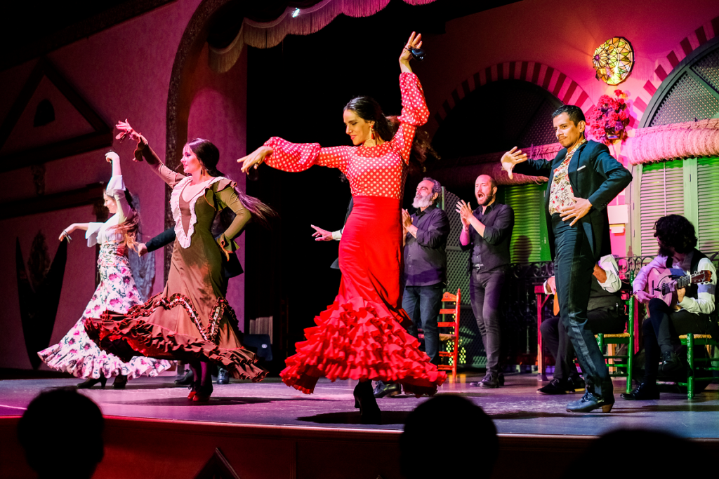 Des stages avec une star du Flamenco à Bordeaux