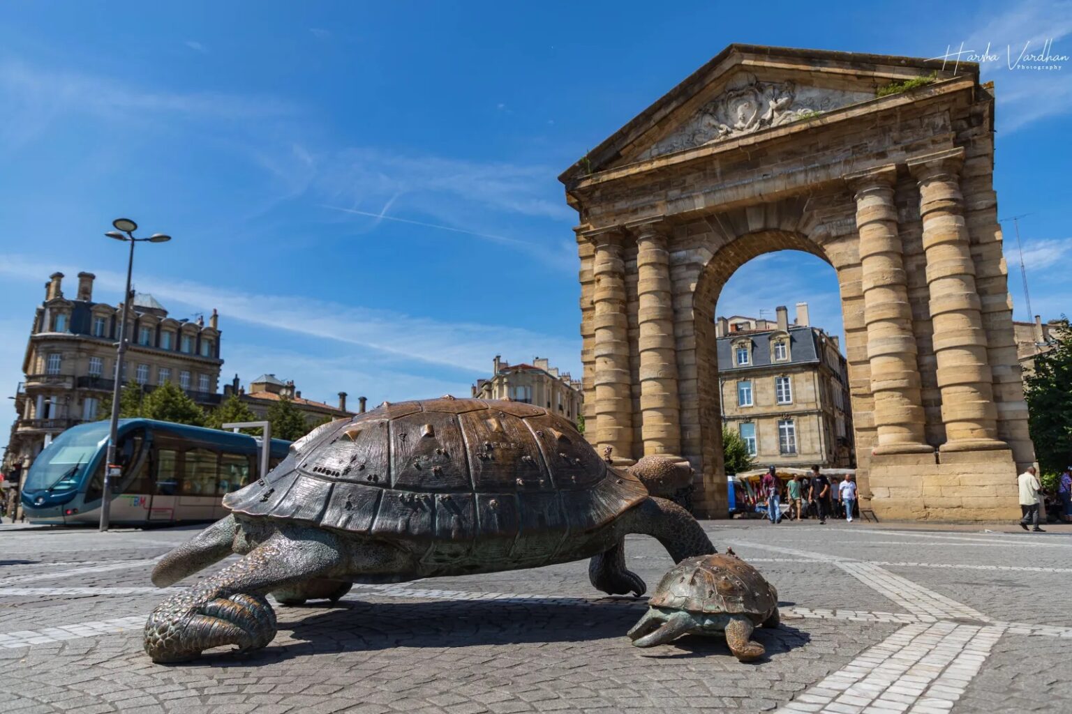 Les tortues de la Place de la Victoire à Bordeaux vont être restaurées