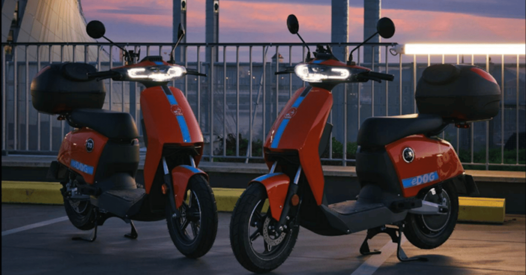 EDog lance des scooters électriques en libre-service sur le Bassin d ...
