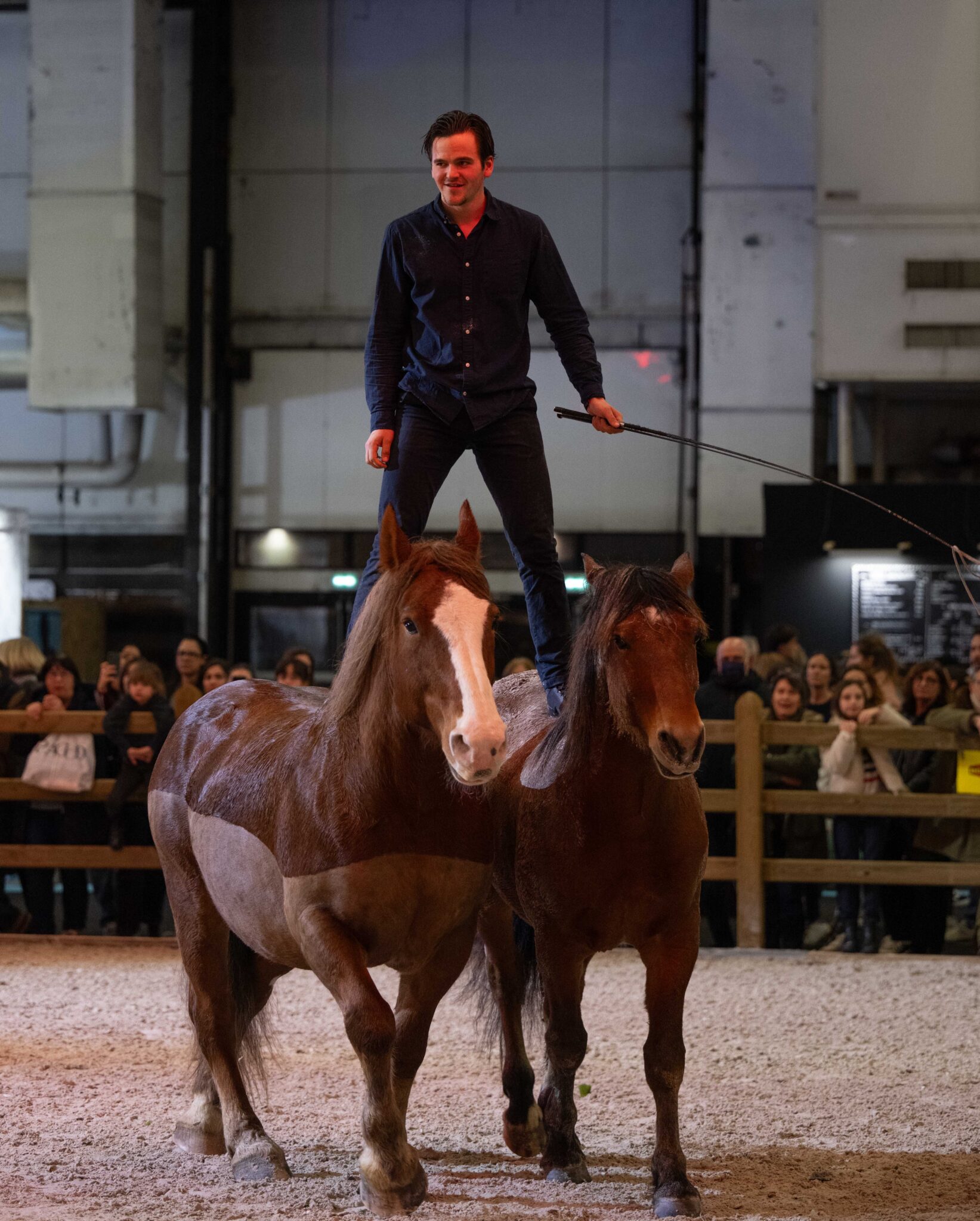 Jumping International de Bordeaux 2026 : le rendez-vous incontournable ...