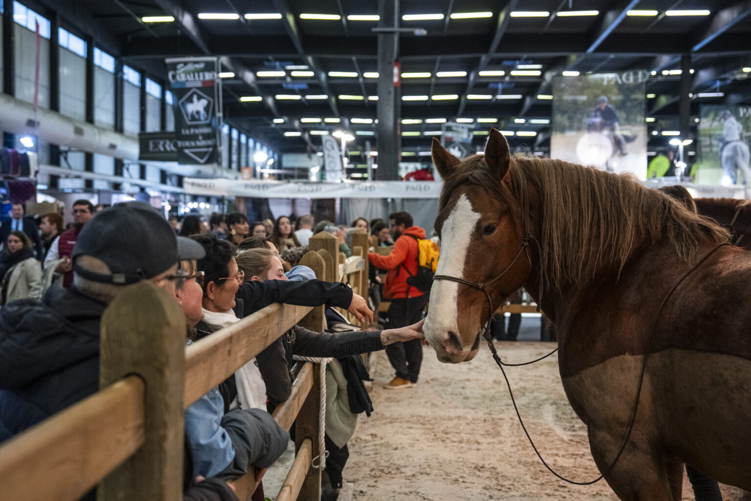 Jumping International de Bordeaux 2026 : le rendez-vous incontournable ...